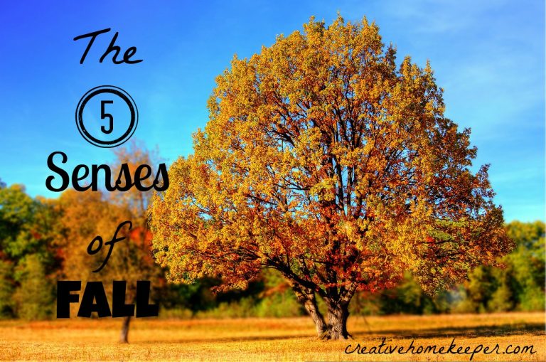 The 5 Senses of Fall - Creative Home Keeper